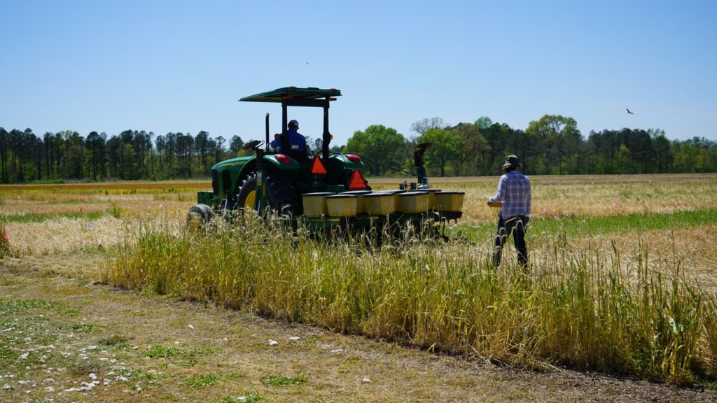 Soybeans | West Tennessee AgResearch and Education Center