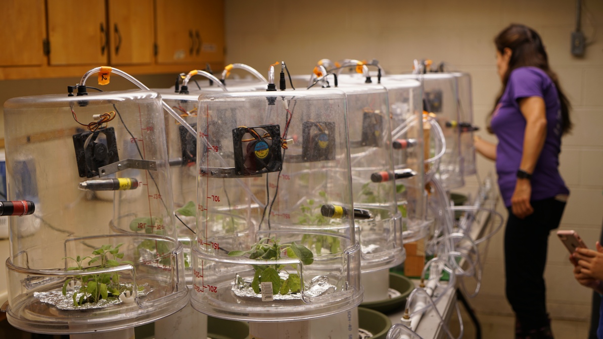 Our Research | West Tennessee AgResearch and Education Center